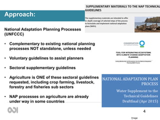 NAP Agriculture Technical Guidelines: Approach, Opportunities and ...