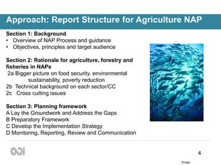 NAP Agriculture Technical Guidelines: Approach, Opportunities and ...