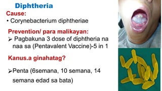 NATIONAL IMMUNIZATION PROGRAM in the Philippines | PPTX