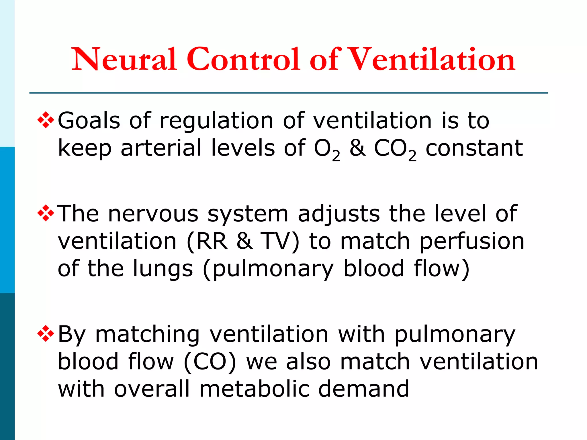 4@neaural control of respiration | PPT