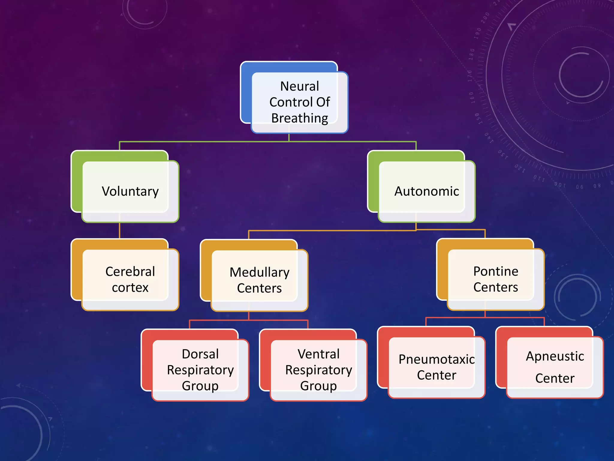 4@neaural control of respiration | PPT