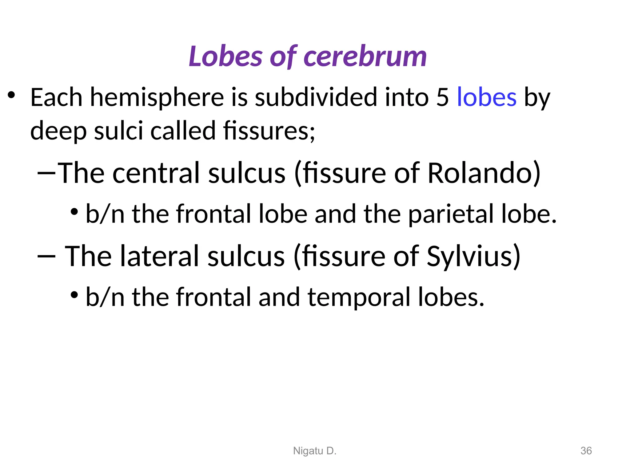 Anatomy of The Nervous System ambo-1.pptx
