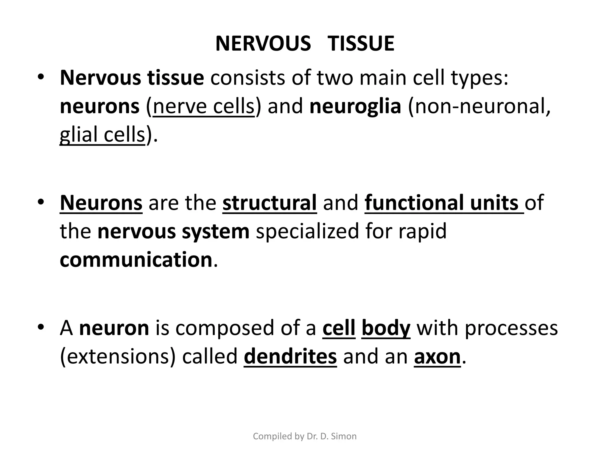 4 nervous tissue | PPTX