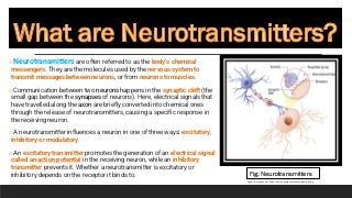 Neurotransmitters.pdf