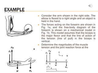 [4] [NEW] Biomechanics_Application of Static to Biomechanics.ppsx