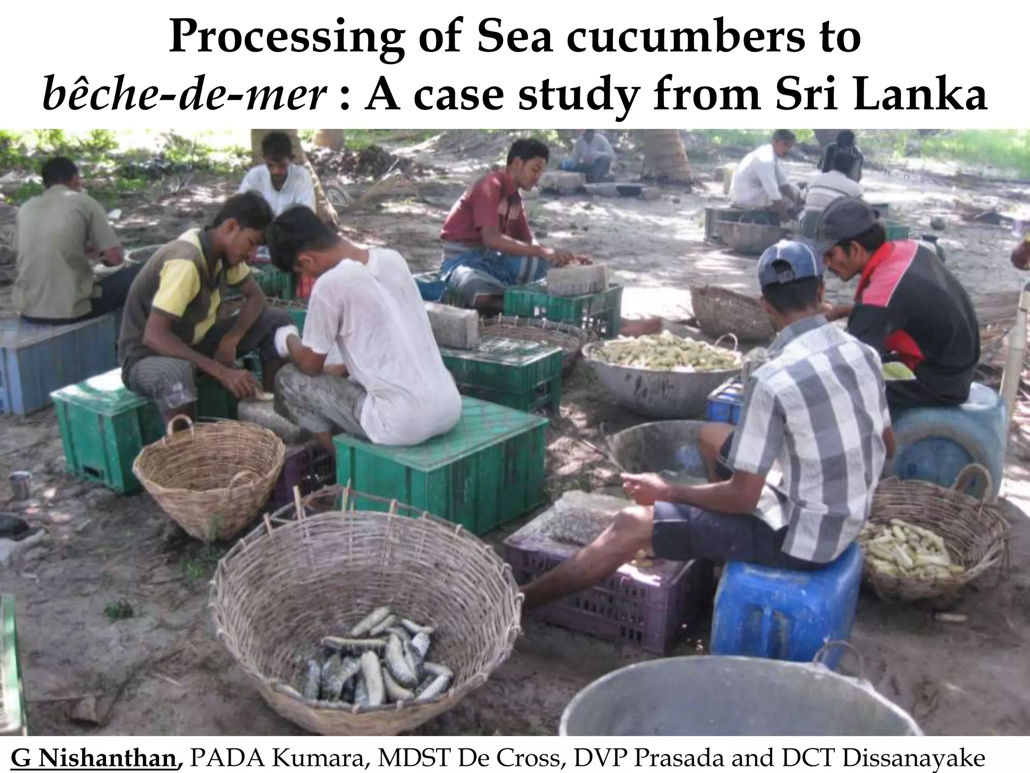 Processing of sea cucumbers to bêche-de-mer: A case study from Sri ...