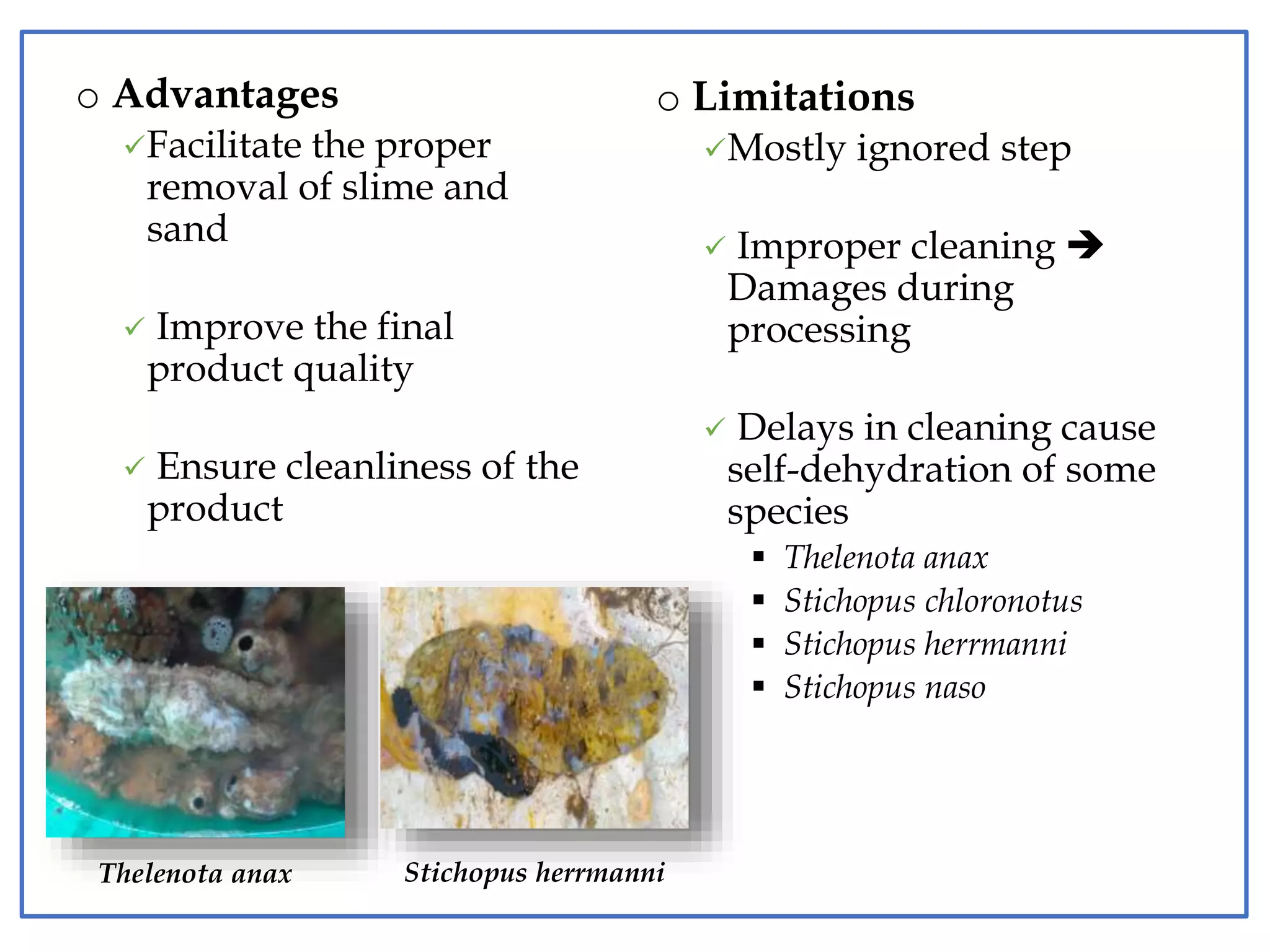Processing of sea cucumbers to bêche-de-mer: A case study from Sri ...