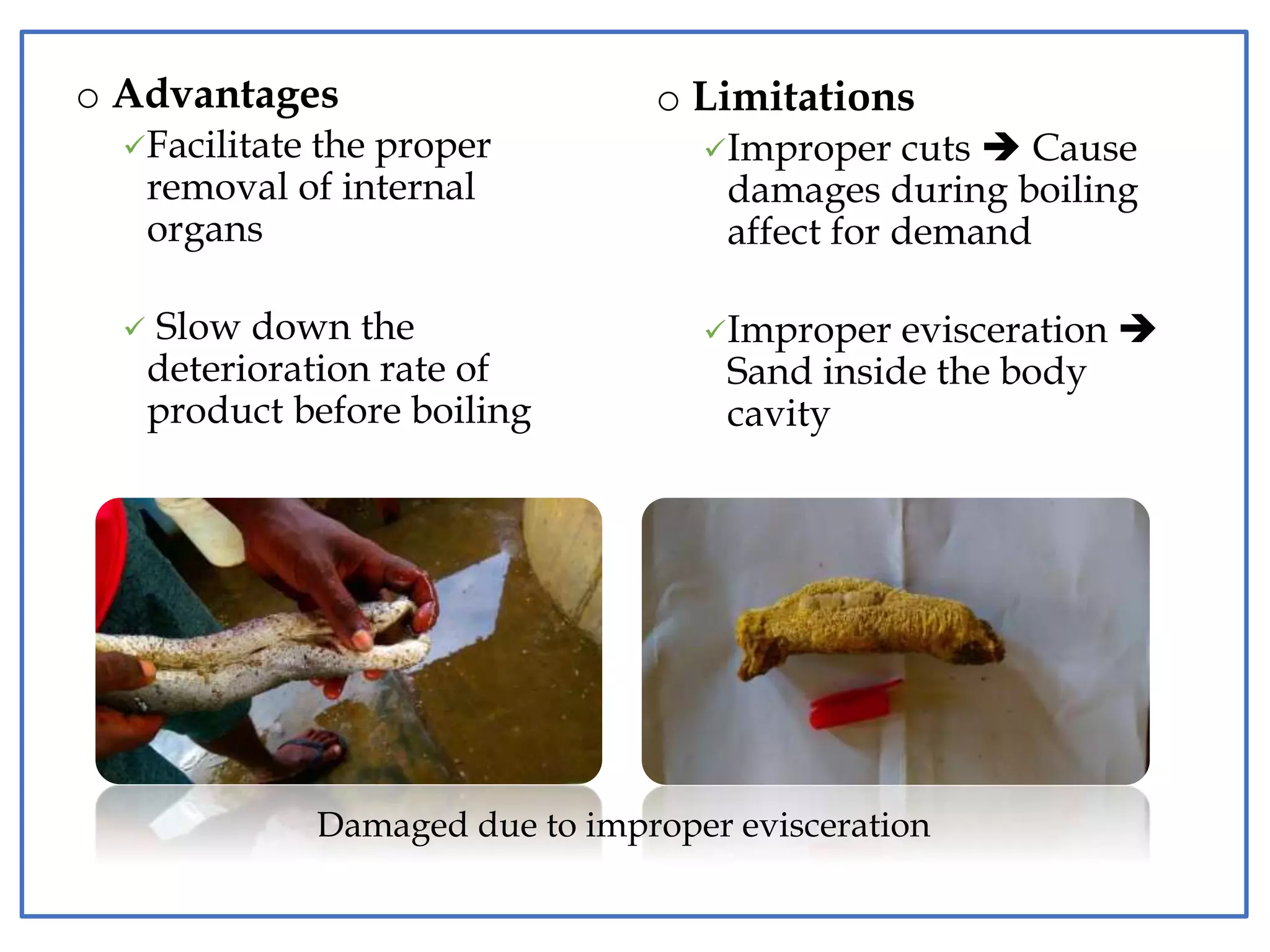 Processing of sea cucumbers to bêche-de-mer: A case study from Sri ...