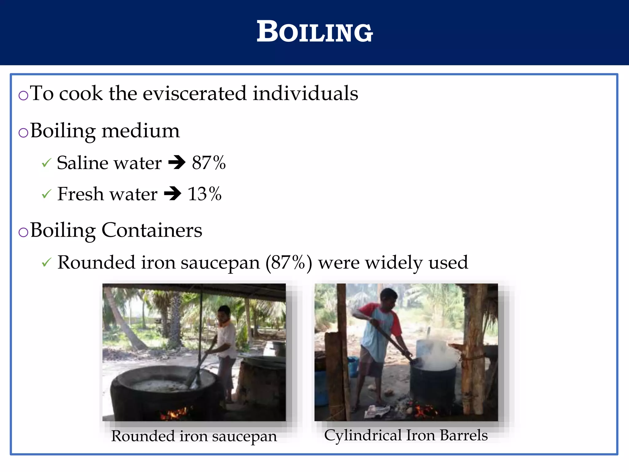Processing of sea cucumbers to bêche-de-mer: A case study from Sri ...