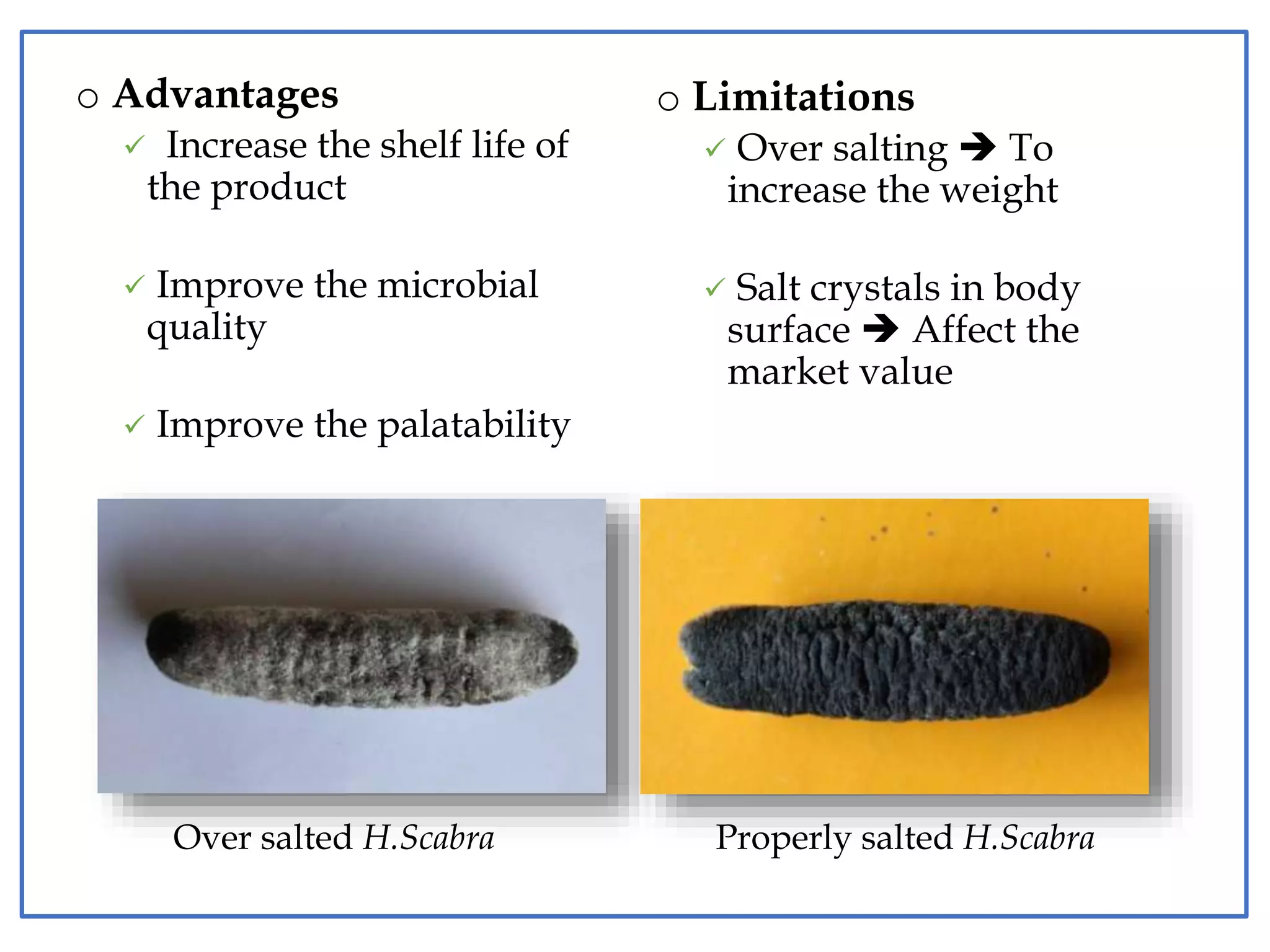 Processing of sea cucumbers to bêche-de-mer: A case study from Sri ...