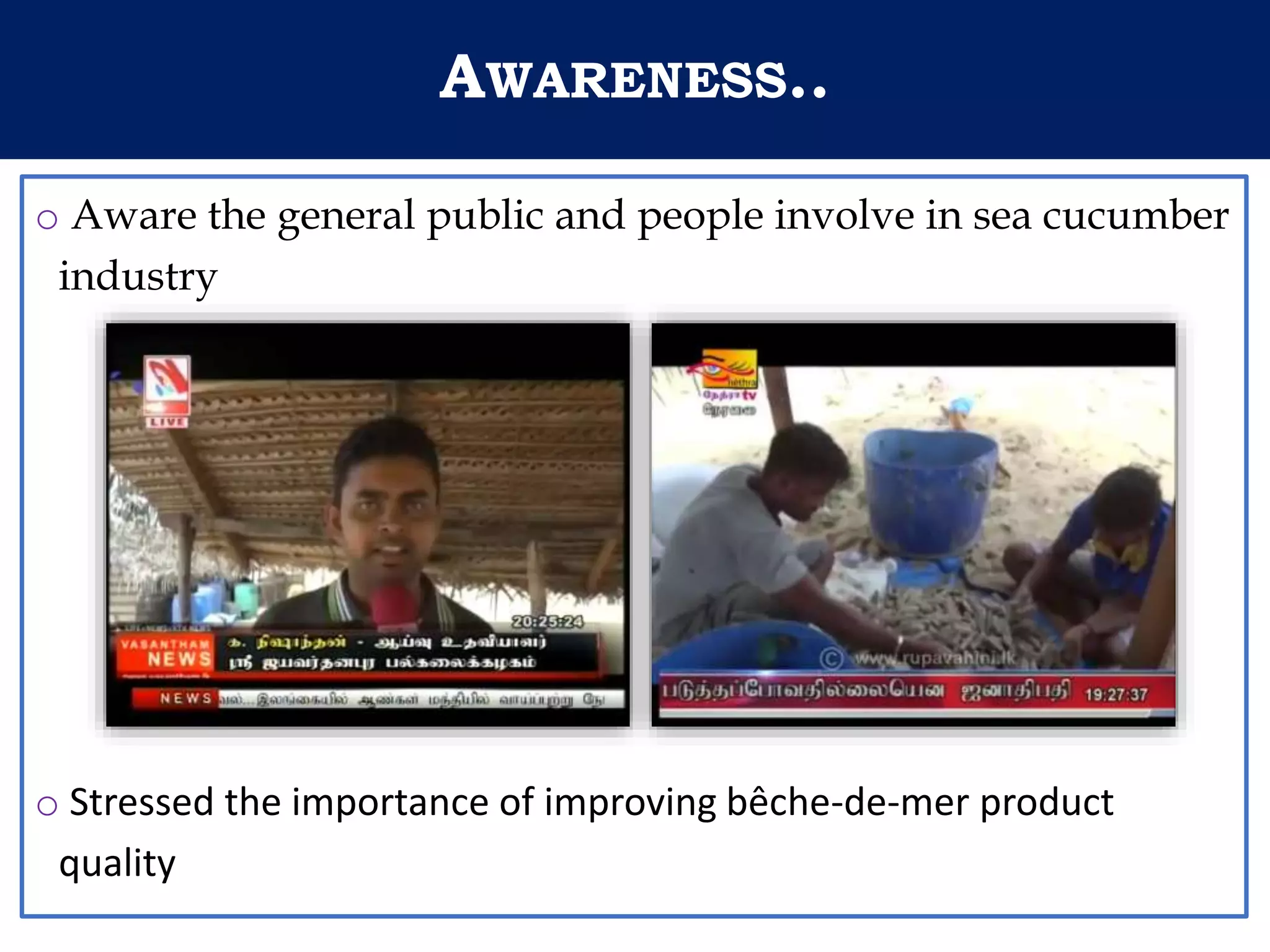 Processing of sea cucumbers to bêche-de-mer: A case study from Sri ...