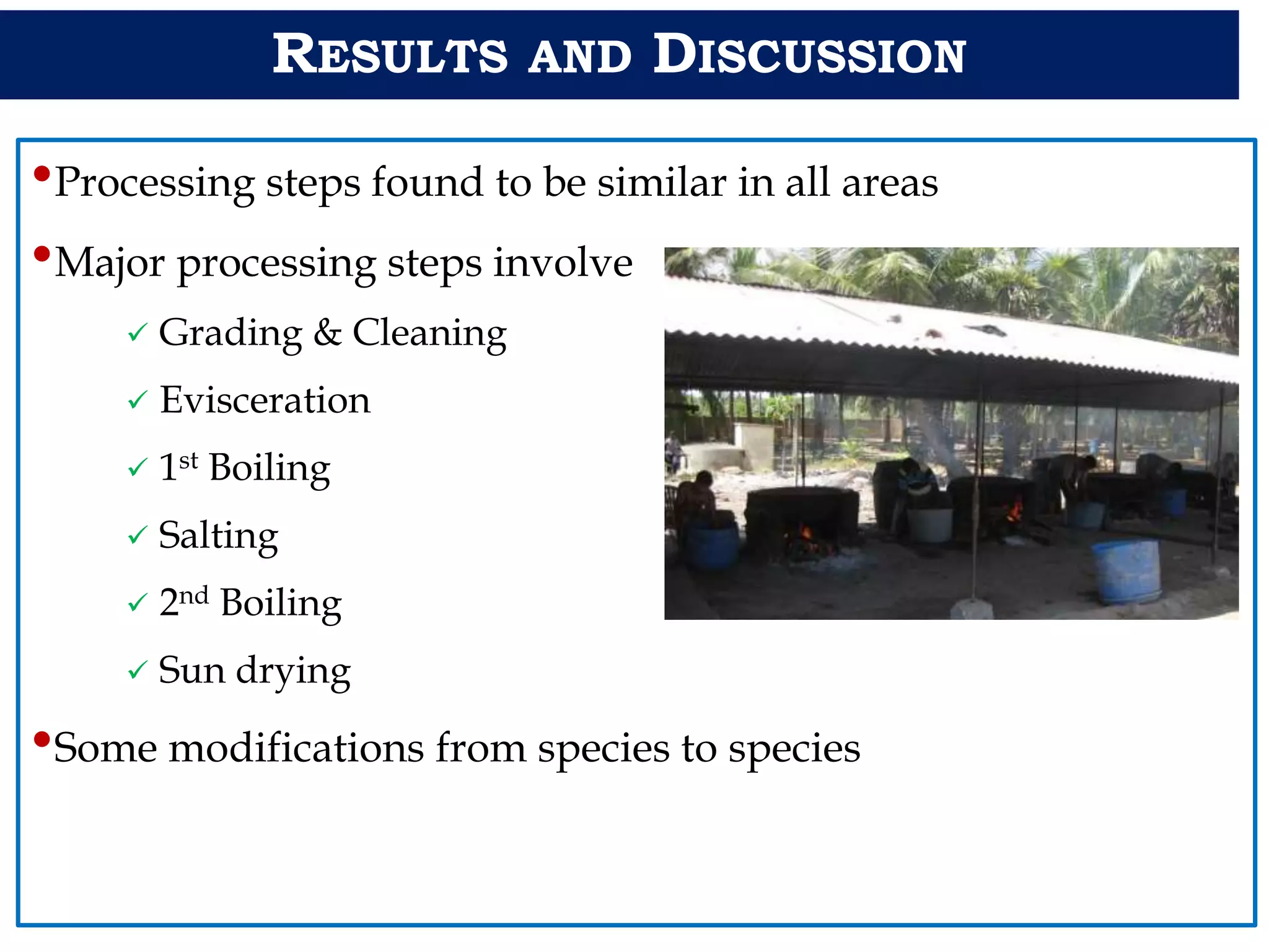 Processing of sea cucumbers to bêche-de-mer: A case study from Sri ...