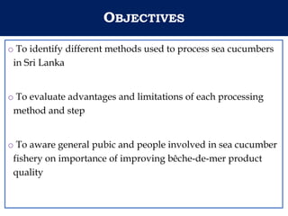 Processing of sea cucumbers to bêche-de-mer: A case study from Sri ...