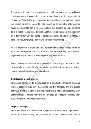 4 nivele si 10 competente pentru management de succes | PDF