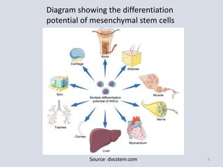 Mesenchymal stem cells to cure eye disease | PPTX