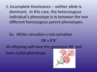 Presentacion clase de ciencias 4_Non-Mendelian_Genetics.ppt