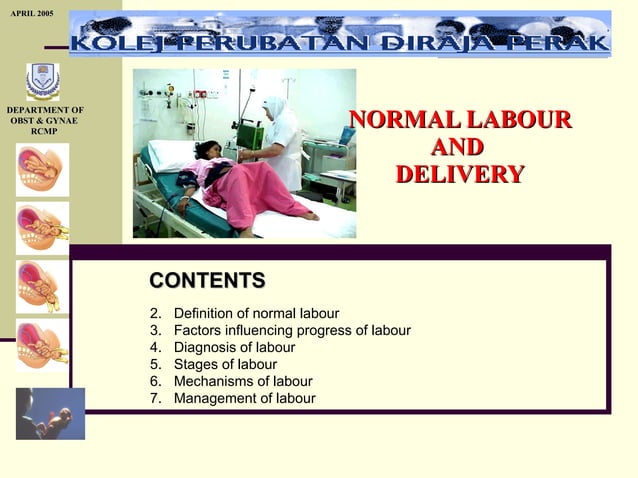 4 normal labour and delivery | PPT | Pregnancy | Reproductive Health