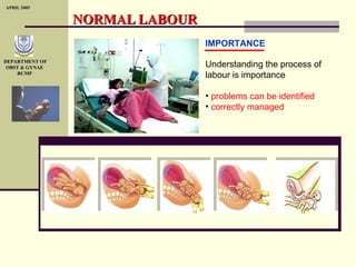 4 normal labour and delivery | PPT