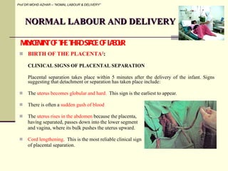 4 normal labour and delivery | PPT