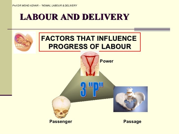 4 normal labour and delivery