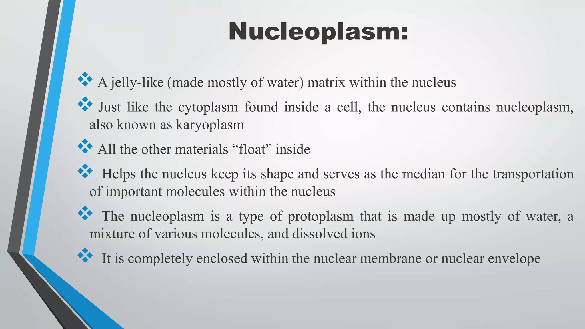 Nucleas and chromosome.pptx