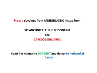 Development of heart cvs anatomy | PPTX