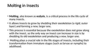 Molting or Ecdysis, Its stages and Enzymes | PPTX