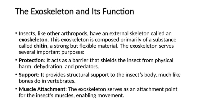 Molting or Ecdysis, Its stages and Enzymes | PPTX