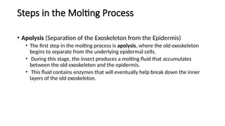 Molting or Ecdysis, Its stages and Enzymes | PPTX