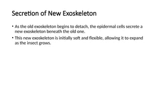 Molting or Ecdysis, Its stages and Enzymes | PPTX