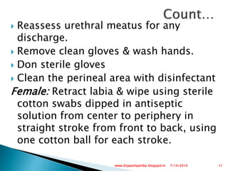 Ppt. catheter care | PPSX