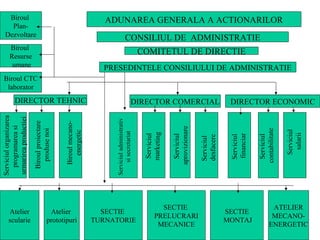 4 organizarea structurala | PPT