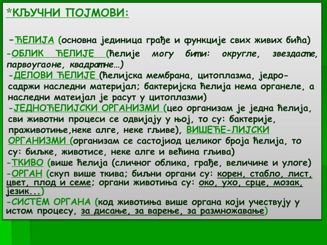 4 organizmi su gradjeni od celija | PPT