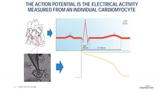 Cell-Based Ion Channel and Cardiac Safety Assays | PPT
