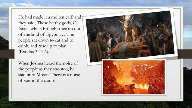 4 our journey of faith the exodus patterns provocation of grace & tree ...