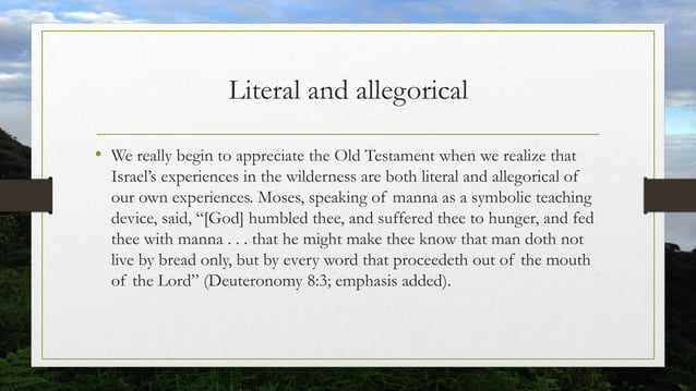 4 our journey of faith the exodus patterns provocation of grace & tree ...