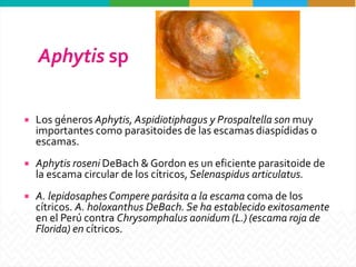 manejo integrado de plagas mediante el uso de parasitoides | PPTX