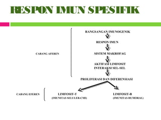 sistem imunitas (kekebalan tubuh) | PPT