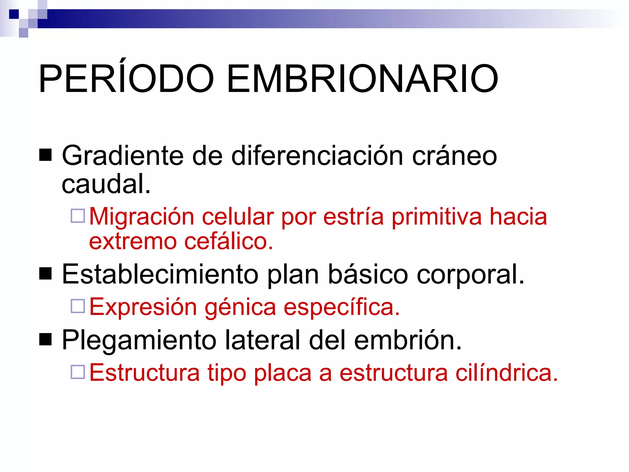 4) período embrionario | PPT