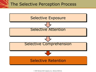 4 Perspective on Consumer Behaviour.pptx