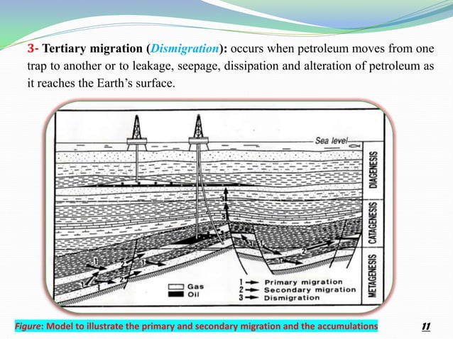 4Petroleum System-Part Two.pdf