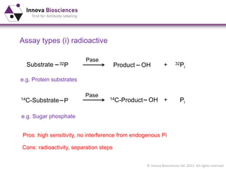 Drug screening assays for phosphate-generating enzymes | PPT