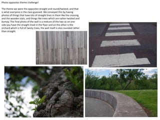 4 photo composition challenge! | PPTX | Photography | Arts and Crafts