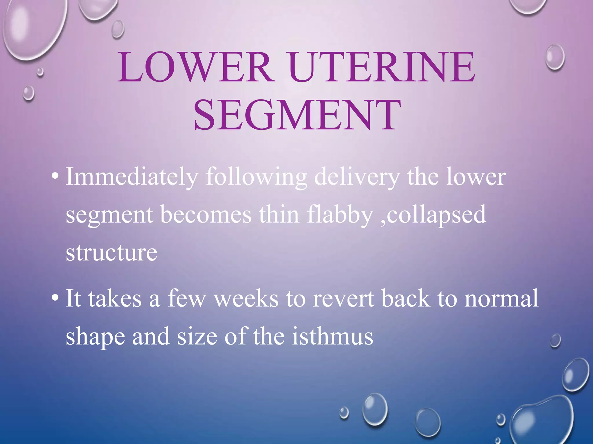 Physiology of puerperium | PPTX