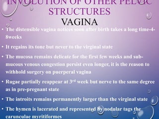 Physiology of puerperium | PPTX