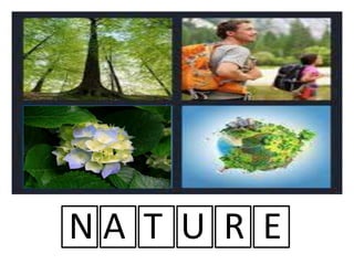 4 pics 1 word (Environment) | PPTX