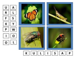 4 pics 1 word 2 | PPTX