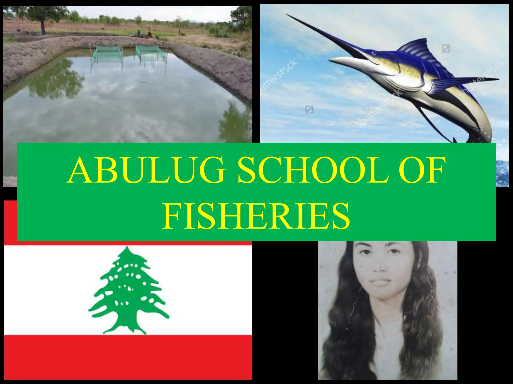 4 pics 1 word_abulug.pptx