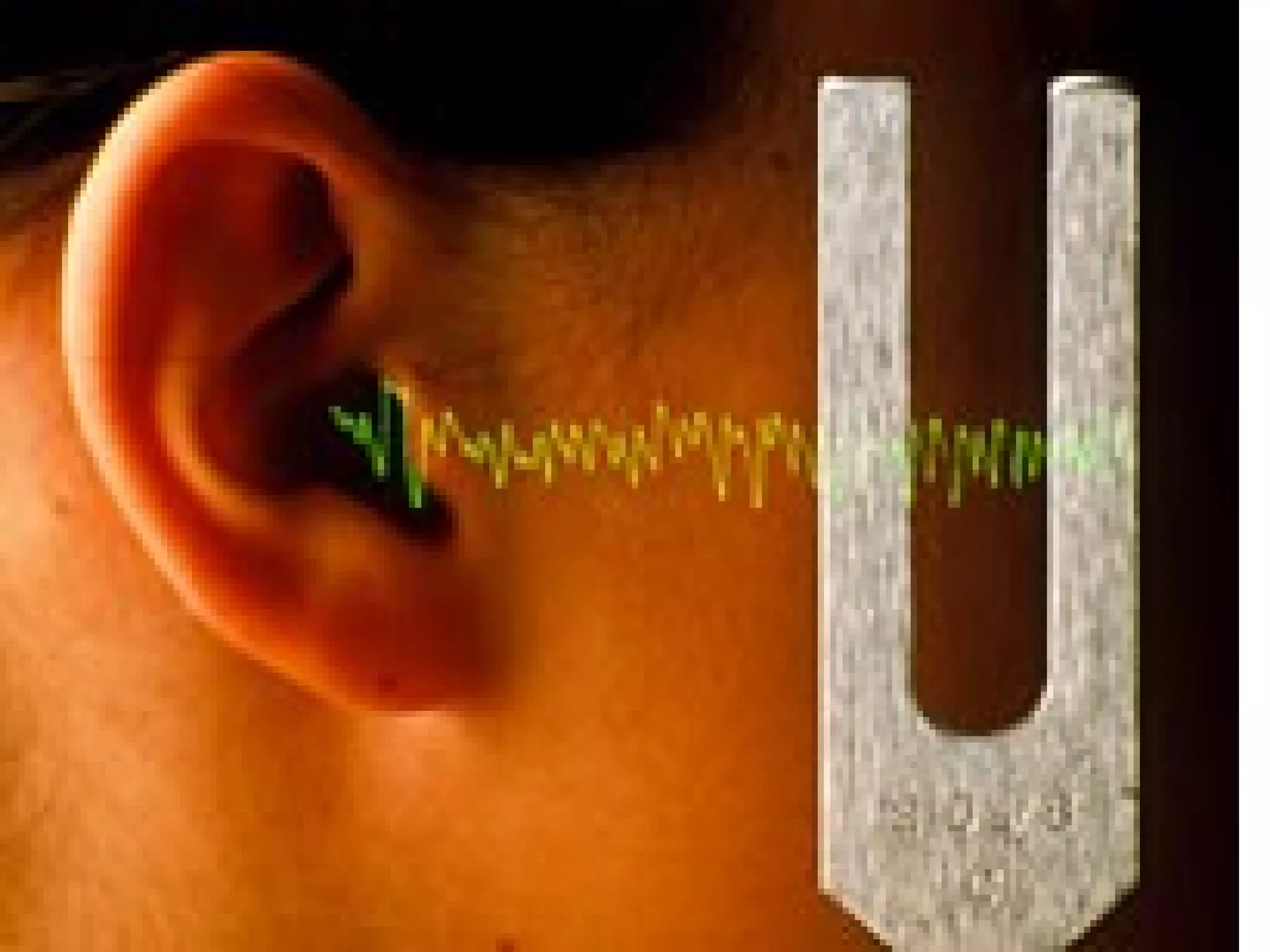 Sound: Standing Waves in Pipes | PPT