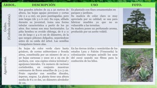 VEGETACIÓN Y SU USO. | PDF